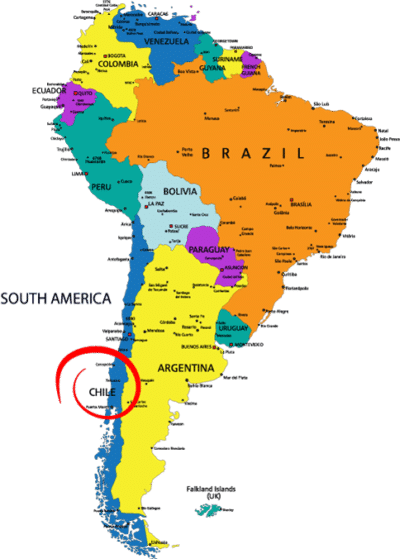 LA FOURMI-PANDA ??? – Petit Chef Panda