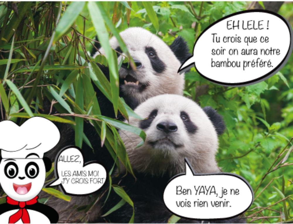 LA FOURMI-PANDA ??? – Petit Chef Panda